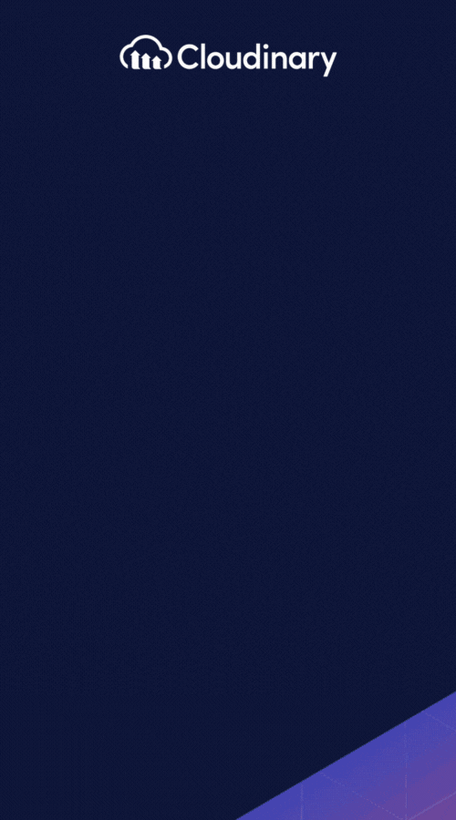 DDS file | Cloudinary