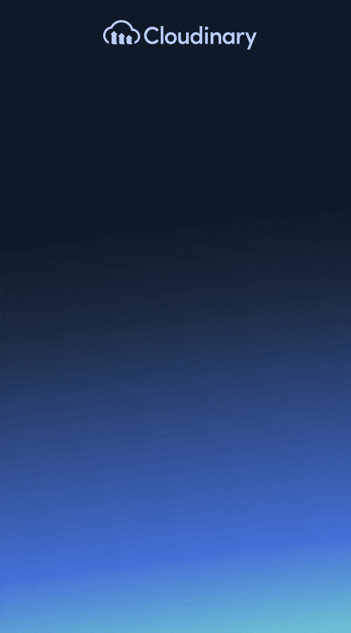 Image Classification | Cloudinary