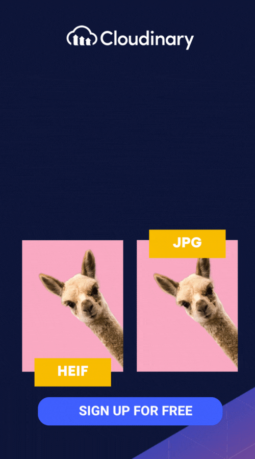 HEIF vs JPEG: 4 Key Differences and How to Choose